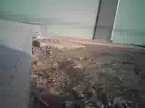 hit by stone - YouTube