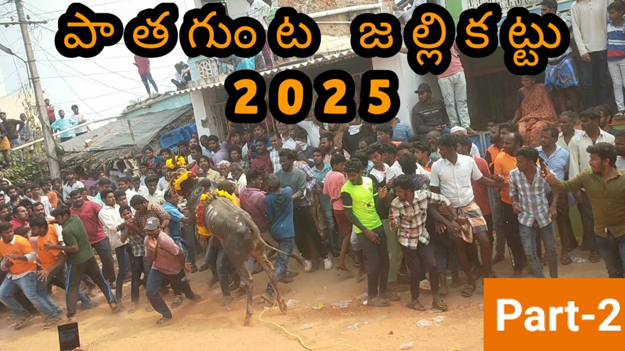 Pathagunta Jallikattu || పాతగుంట జల్లికట్టు 2025_Part-2 || Vijay Kumar ...