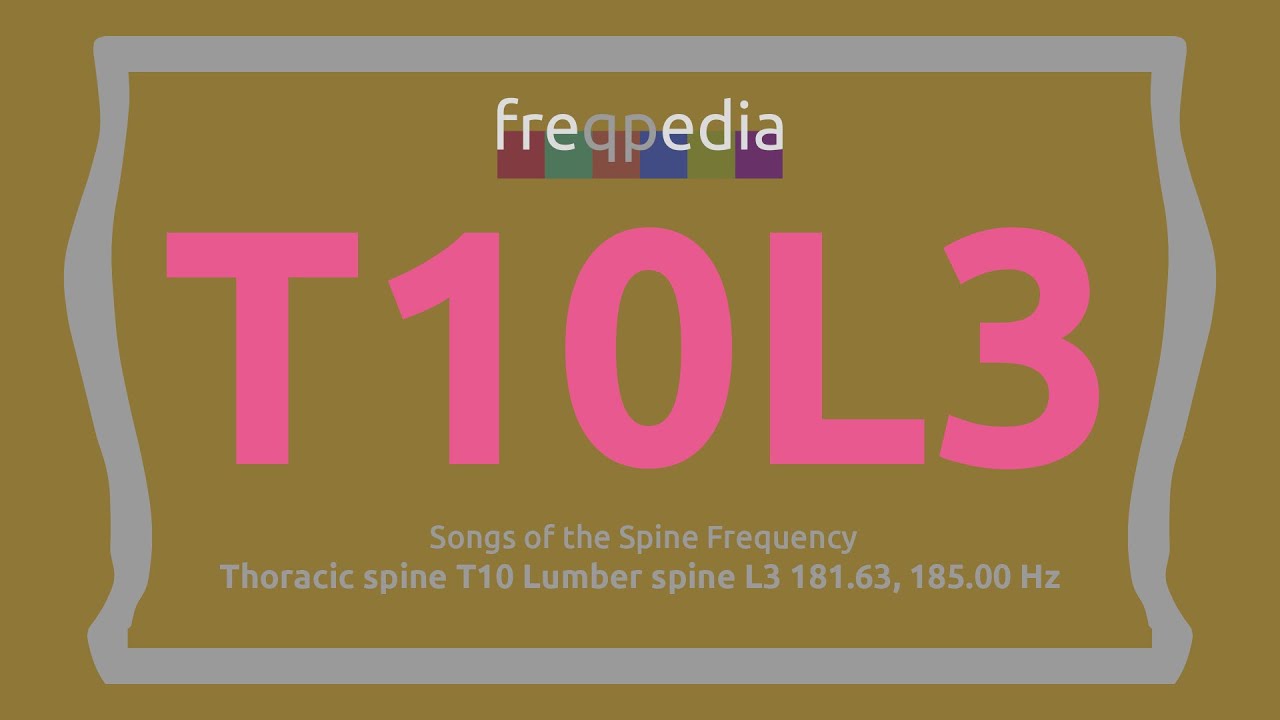 T10 and L3 Spine vibrations healing, Thoracic back pain, Lumber back ...