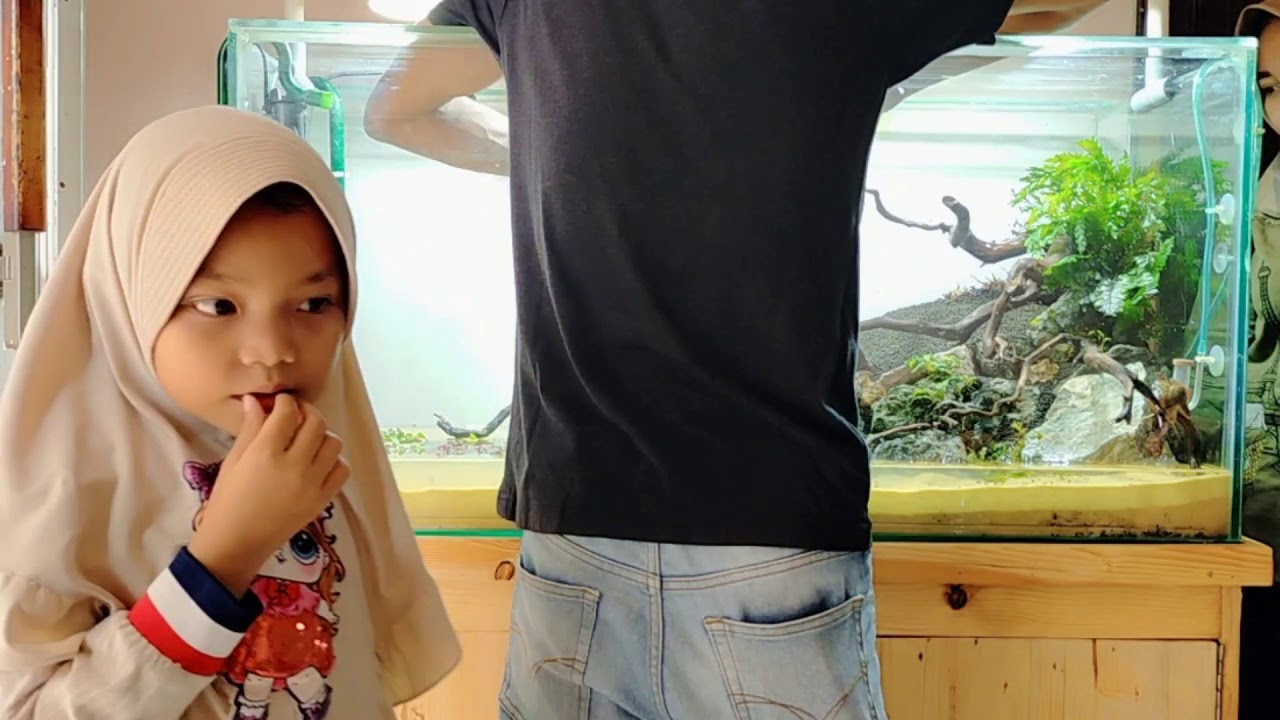 step by step Aquascape Natural Triangle layout - YouTube
