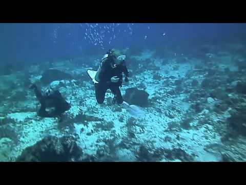 Scuba Diving with Challenge Diving - August 15th, 2013 - YouTube