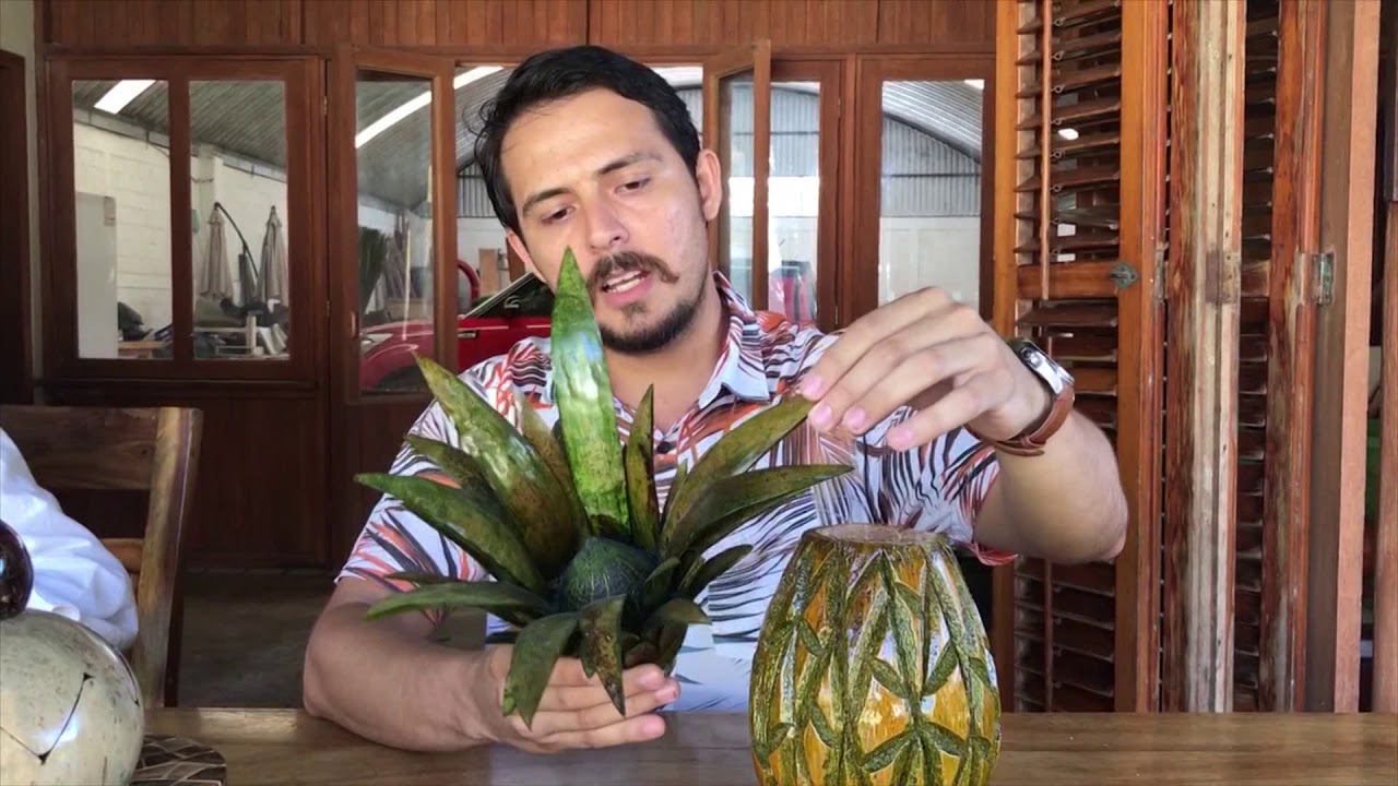 ECHALE COCO FTOK - YouTube