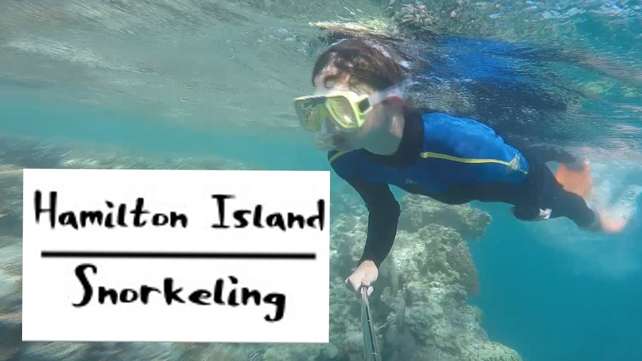 Hamilton Island | Snorkeling - YouTube