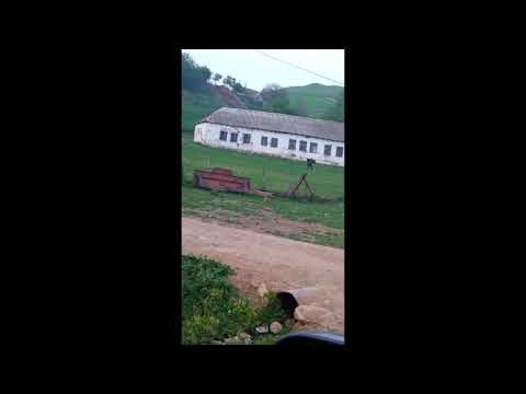 Cəlilabad rayonu Musalı kənd orta məktəbi qəzalı vəziyyətdə
