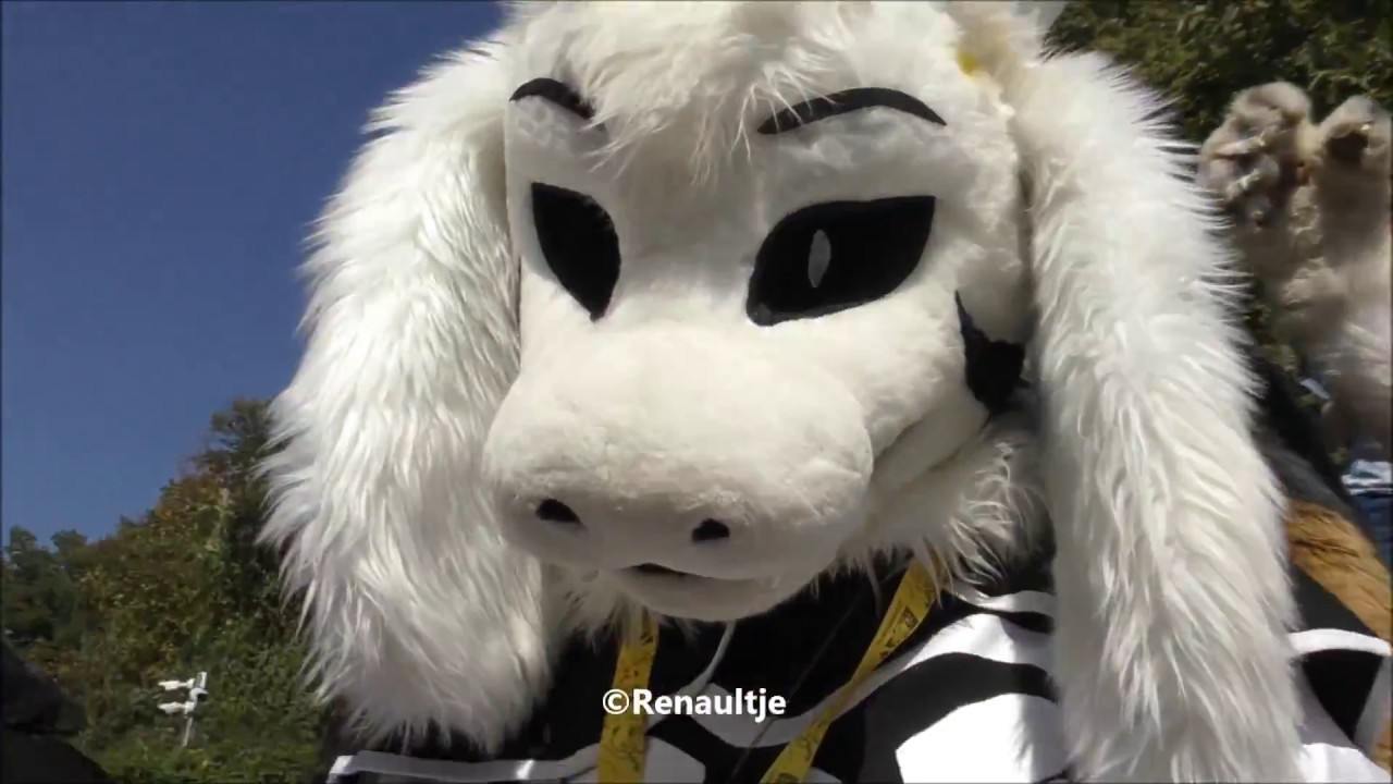 Eurofurence 24| Video Part #2 - YouTube