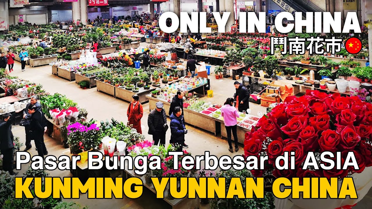 Suasana Perdagangan Bunga Terbesar di China - Dounan Flower Market in ...