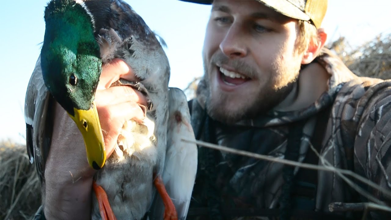 I Love These Birds | Public Land Kansas Duck Hunt 2017 - YouTube