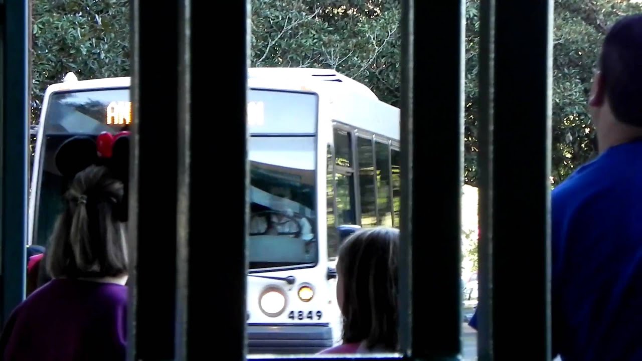 Disney Disney Transport NovaBus LFS (2nd generation) 4849 arriving at ...