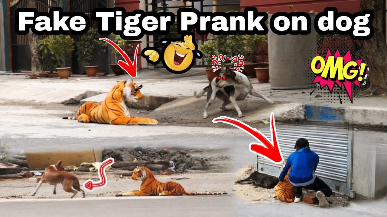 Fake Tiger prank on dog 🐕/😂(prank) 😉 - YouTube