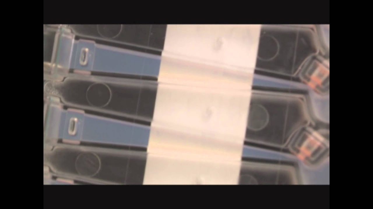 Tutorial: How to Inspect a Cassette for the Pippin Prep or BluePippin ...