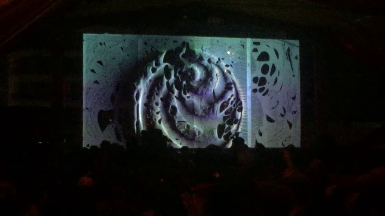 Rhadoo at Sunwaves 23 - YouTube