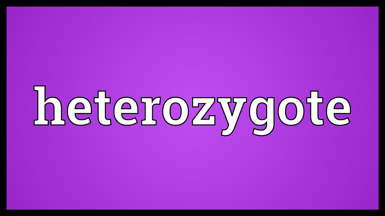 Heterozygote Meaning - YouTube