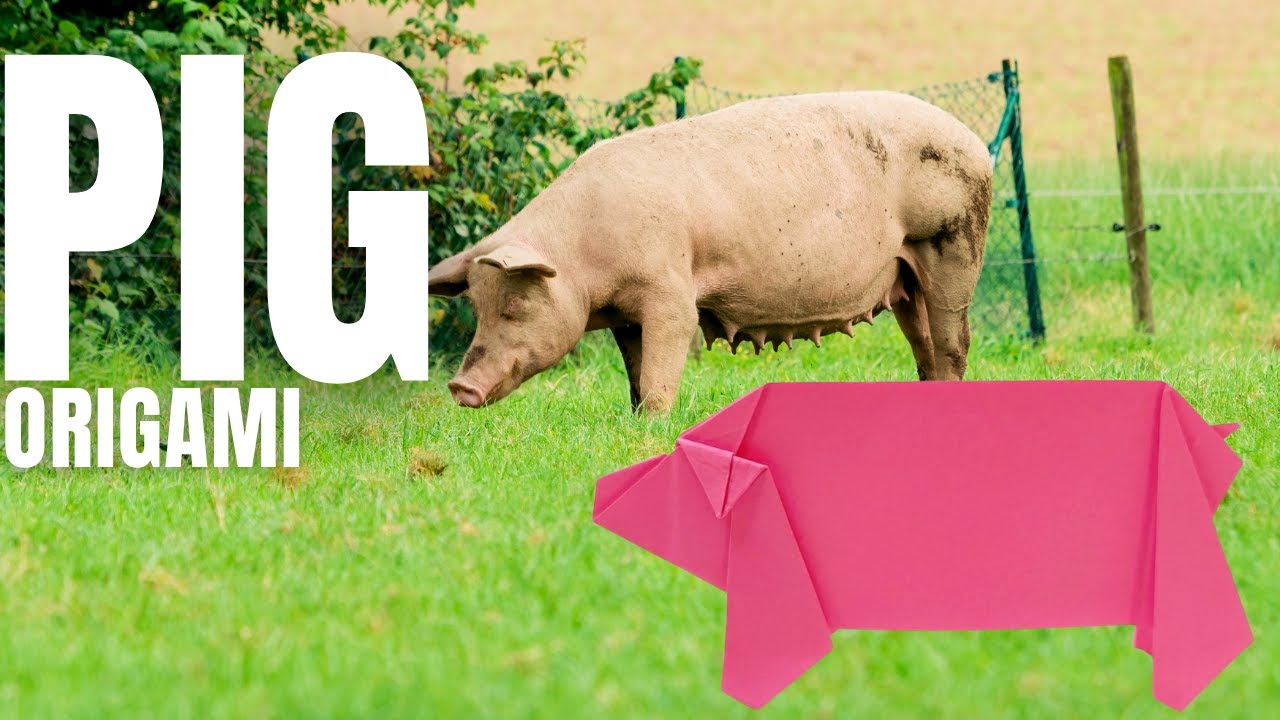 Easy Pig Origami Tutorial for Kids and Beginners - YouTube