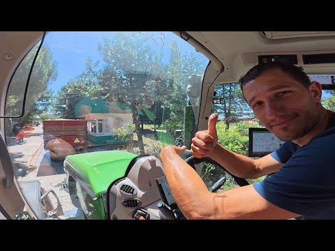 BUĞDAYLAR TMO’YA | KANOLALAR BORSAYA