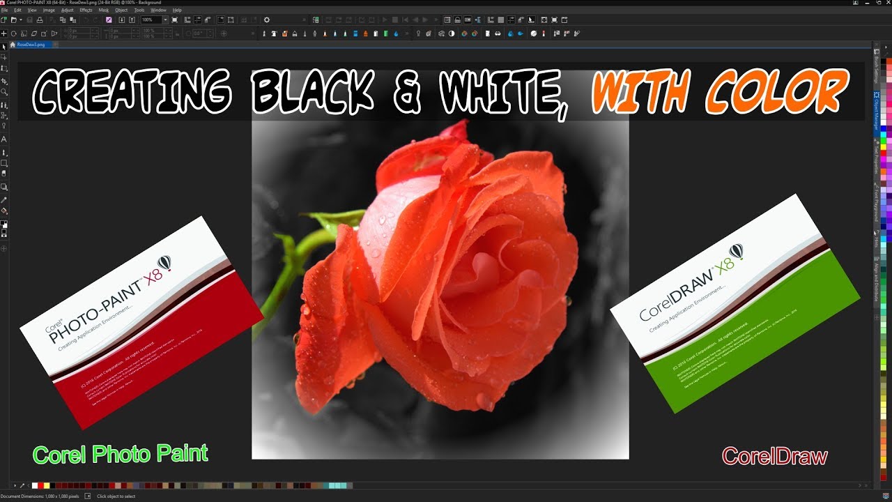 Corel Photo Paint X8 CREATING BLACK & WHITE W/ COLOR Tutorial CorelDraw ...