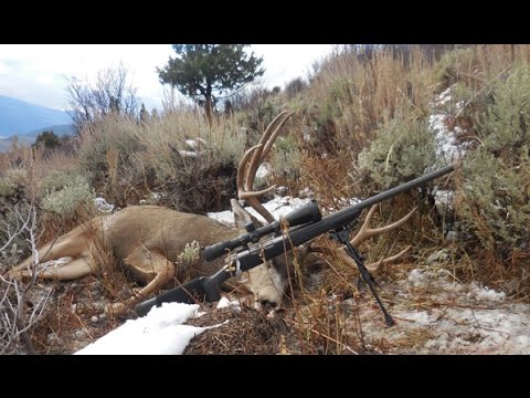 2015 Colorado Muley Hunt Success - YouTube