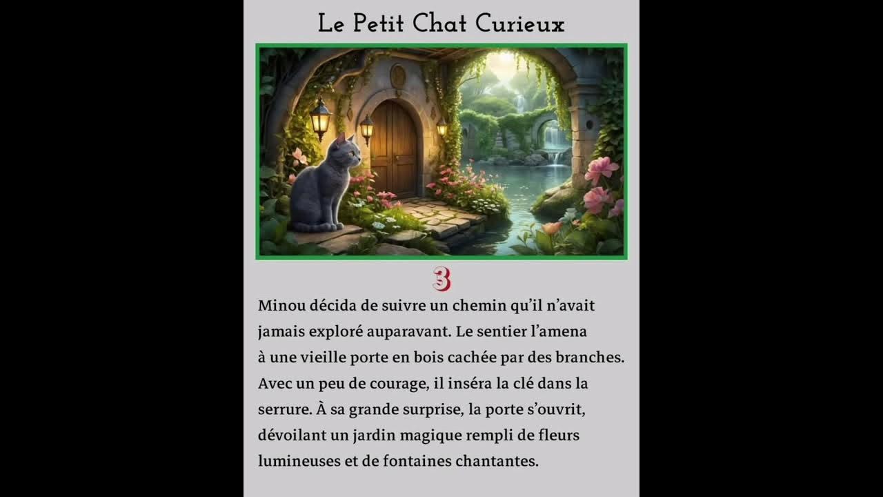Le petit chat curieux #liuchau #histoire #lespetis - YouTube
