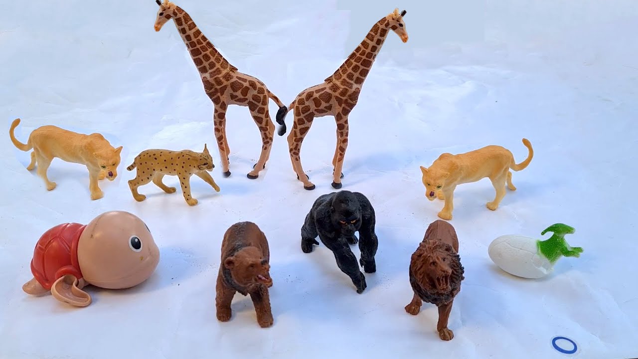 Animal Toys Zoo and Real for kids, Bear, Giraffe, Gorilla and Dinosaur ...