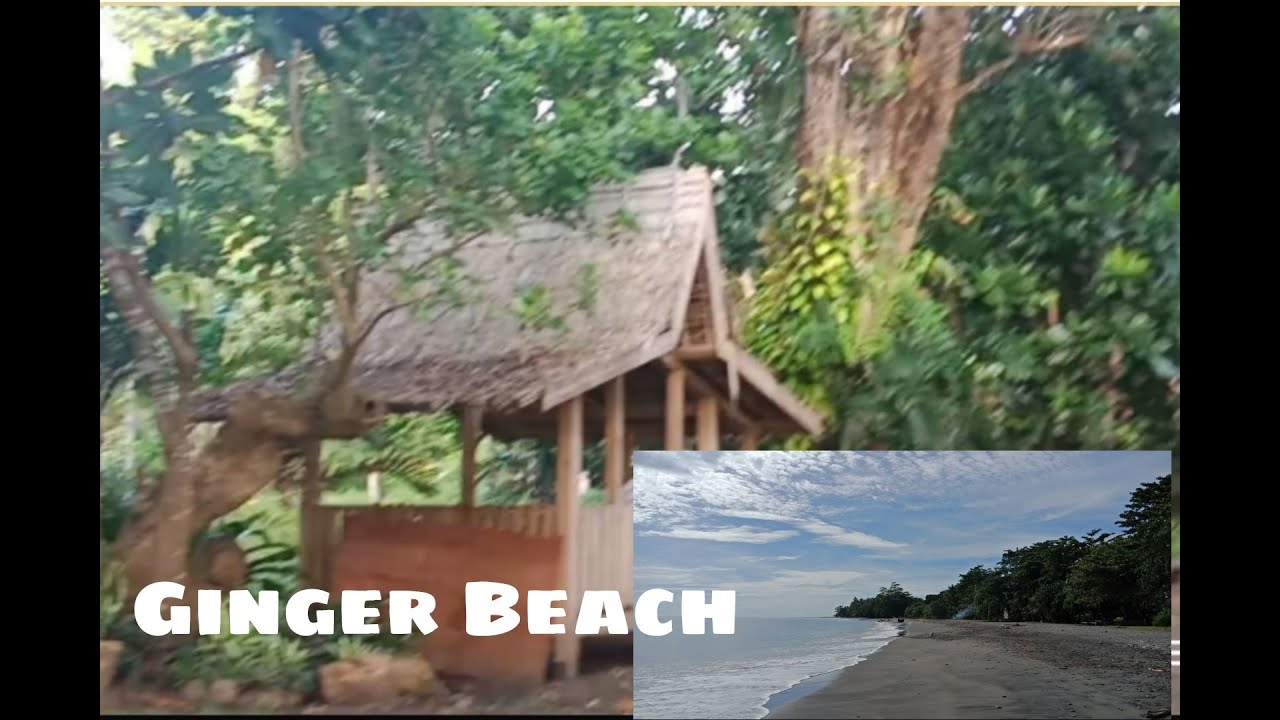 Ginger Beach ( Solomon Islands ) vlog#23 - YouTube