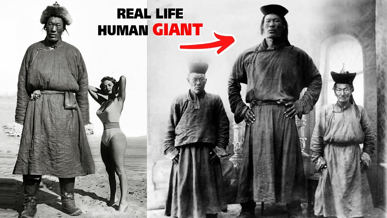 Real Life GIANT MAN | Tallest man in 20th century - YouTube