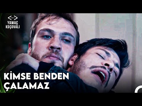 Anca Dayaktan Anlar Bu Bebeler