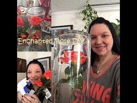 Dollar Tree Enchanted Rose DIY my version - YouTube