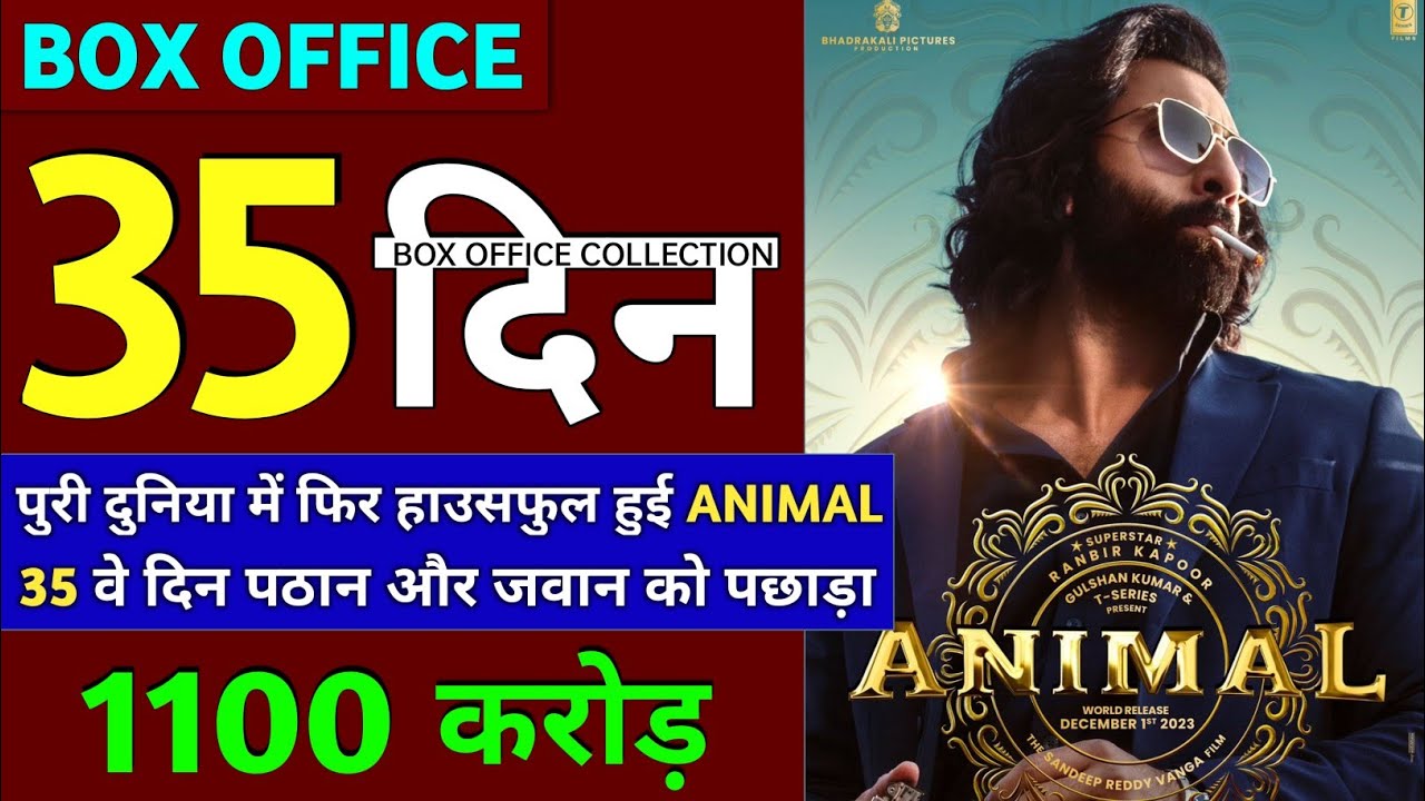 Animal Box Office Collection Day 35, Animal Official Worldwide ...