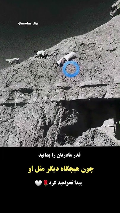 خدایا نعمت مادر رو از هیچکس نگیر ️بنویس آمین🤍 مامان پدر مادر مادرم