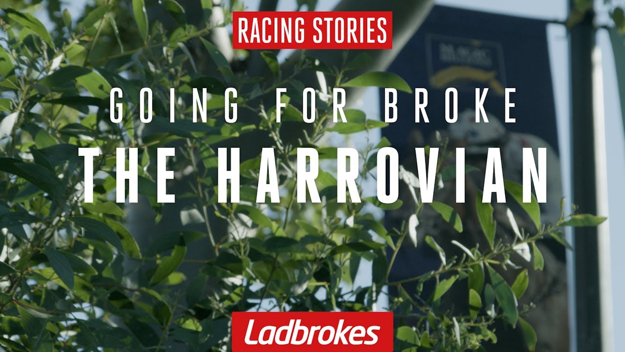 Cult Hero The Harrovian Is On Track For A Maiden Group 1 Victory - YouTube