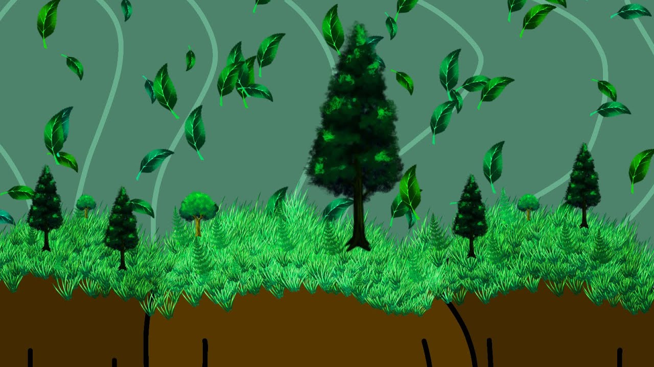 Masked Meadows (24 Hour Challenge) - YouTube