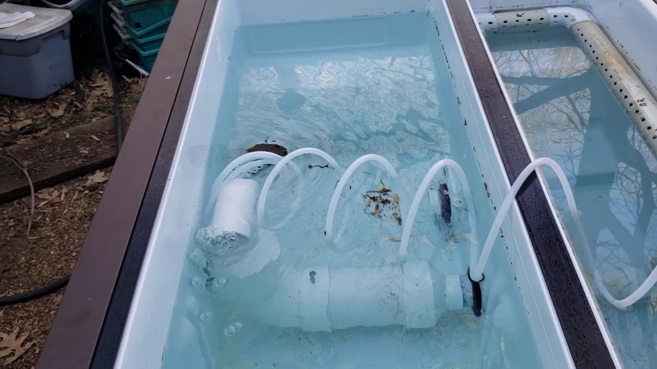 Refrigerator broodstock nursery tank setup with air lift seperation ...