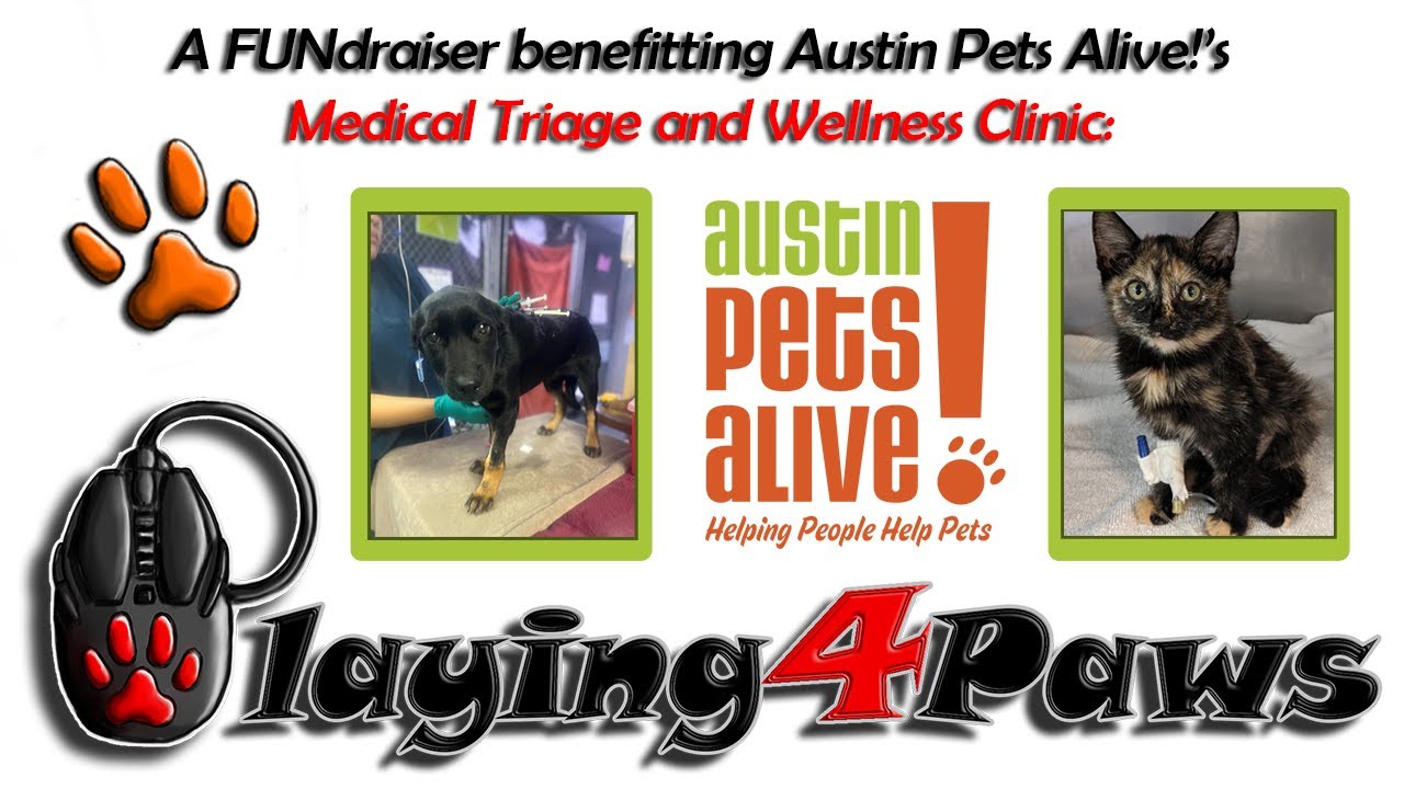 Sofilein Playing Arty for Playing4Paws - YouTube