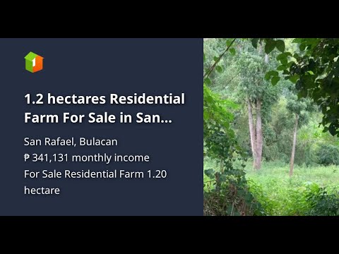 1.2 hectares Residential Farm For Sale in San Rafael Bulacan - YouTube