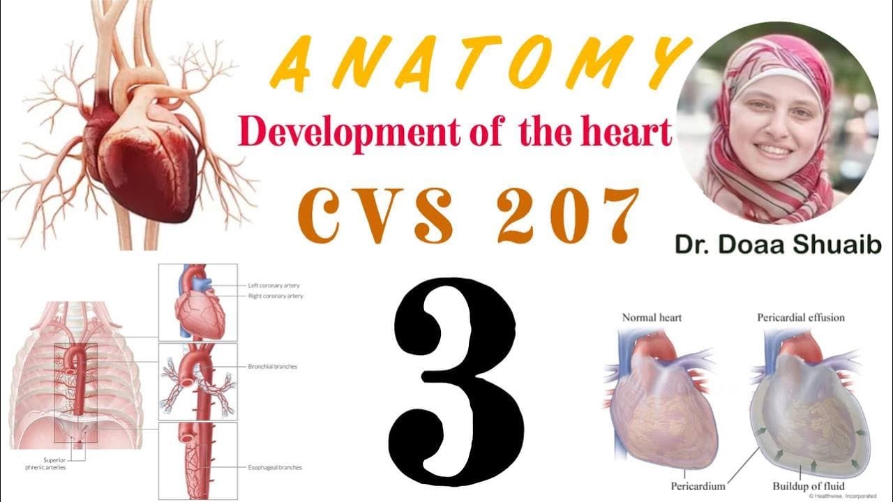Development of CVS 3 - YouTube