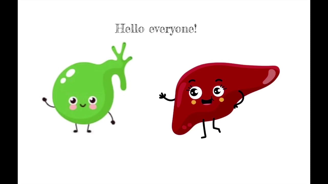 Liver concept map - YouTube