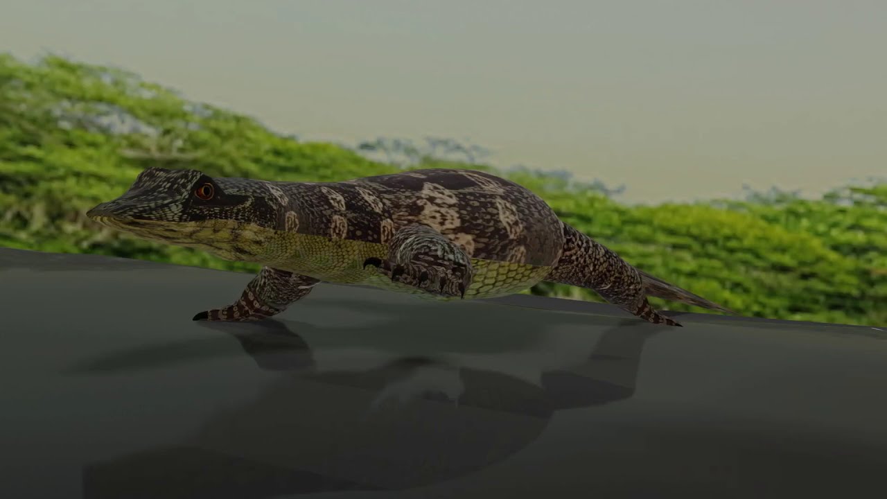 3D Beginner : FX with my animation - YouTube