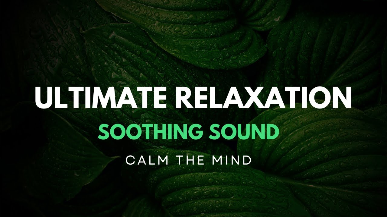 Ultimate Relaxation: Breathtaking Nature Scenes & Soothing Sounds - YouTube