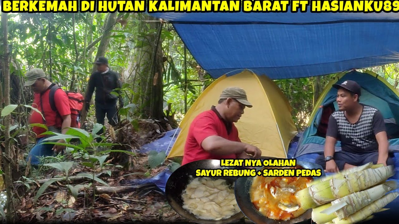 Berkemah di Hutan Kalimantan || memasak sayur rebung bambu. - YouTube