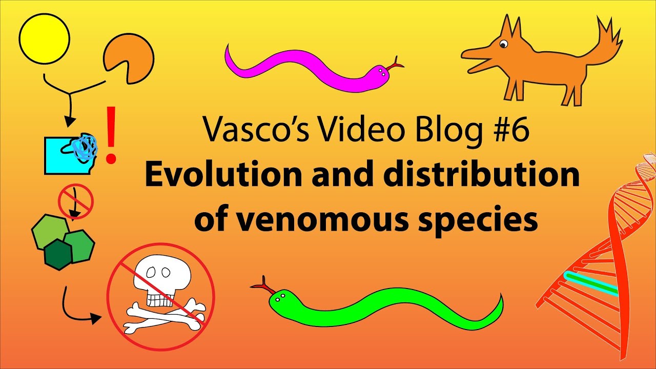 Re: Why Do Venomous Animals Live In Warm Climates? (Video blog #6 ...