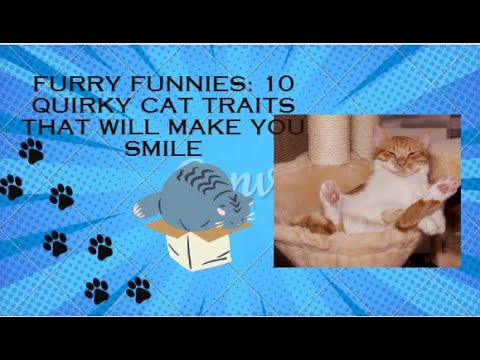 Furry Funnies: 10 Quirky Cat Traits That Will Make You Smile - YouTube