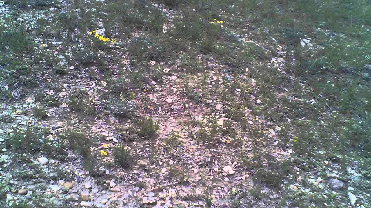 Video Outlaw Trail Sam Kelly Caves 15June2014 024 - YouTube