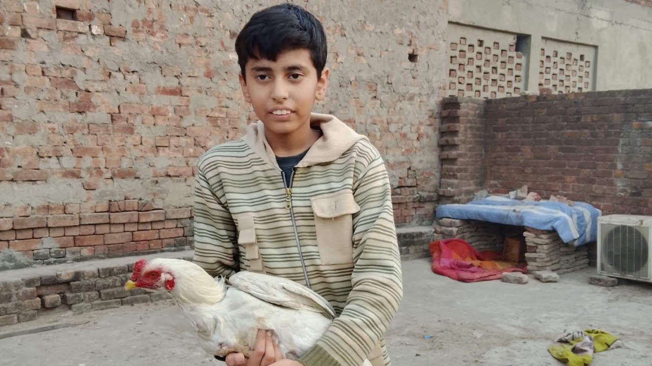 Hadi Bhai ko dog beby ka surprise#spotify #subscribemychannel - YouTube