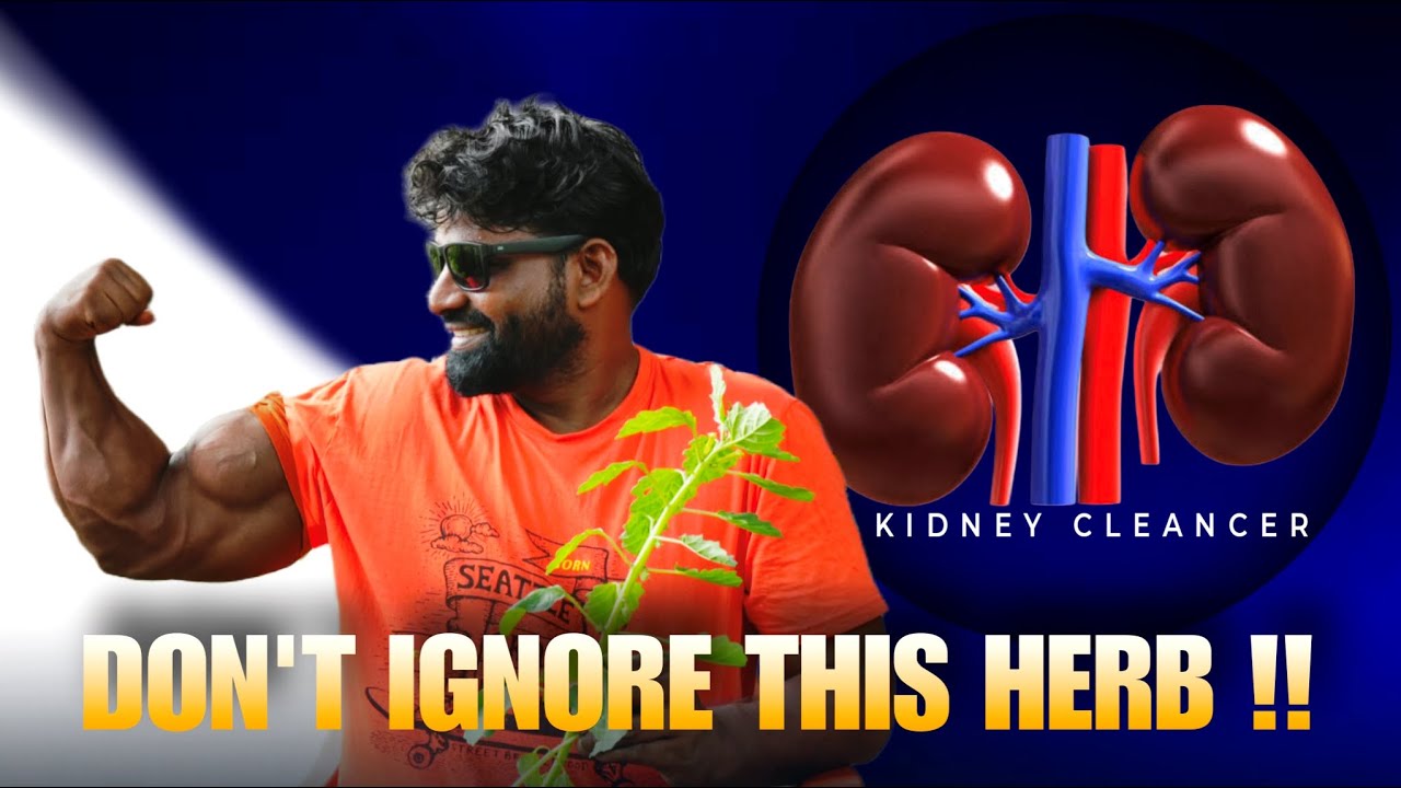 How to protect your kidneys naturally | Naturalist Alexander|9884035450 ...
