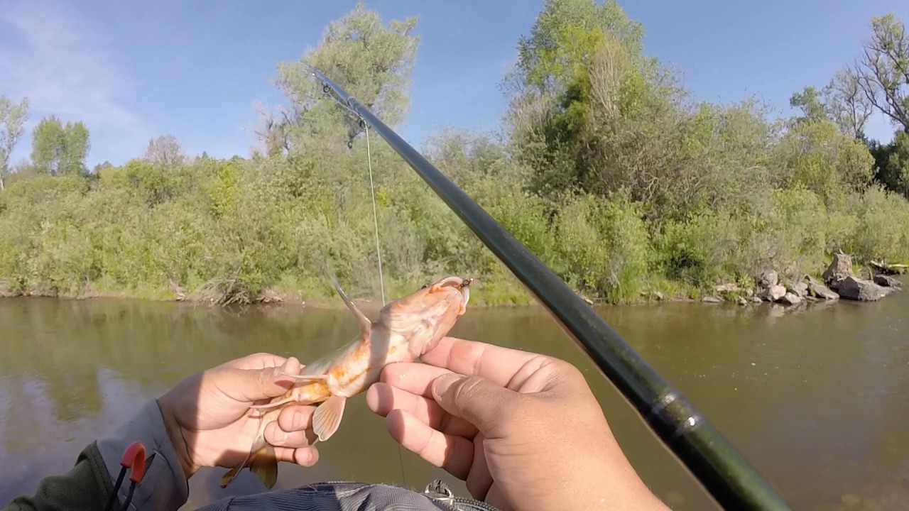 Back on the Rez!...Fishing my home waters vlog. - YouTube