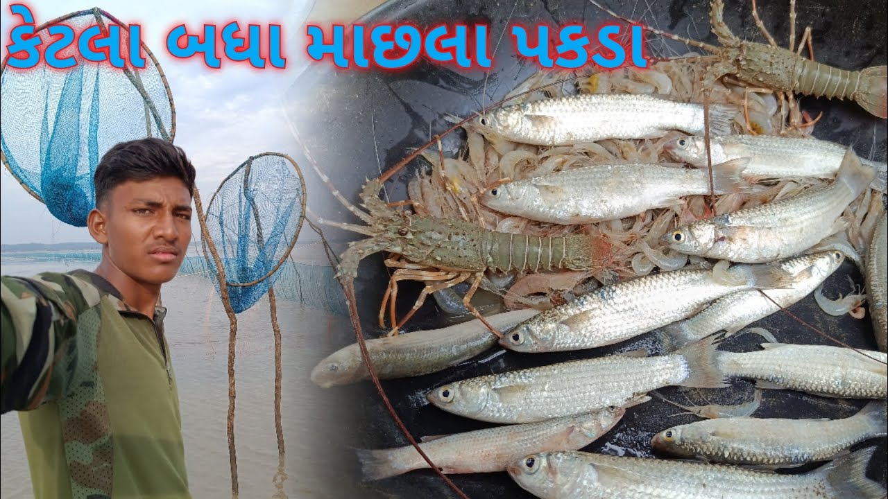 કેટલા બધા માછલા પકડા || #dariyakathanimoj #fish #sea #jinga #lobster ...