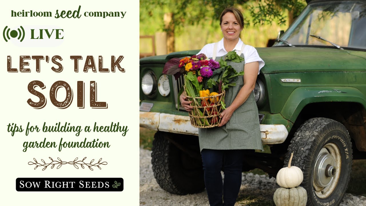The Basics of Good Soil: How to Build & Maintain a Healthy Garden ...