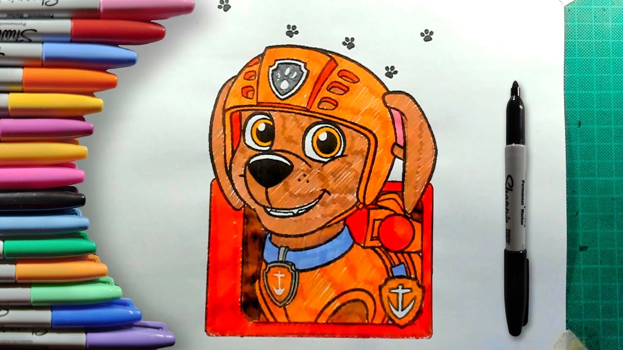 How to Color Zuma from Paw Patrol Step by Step Easy Coloring pages for ...