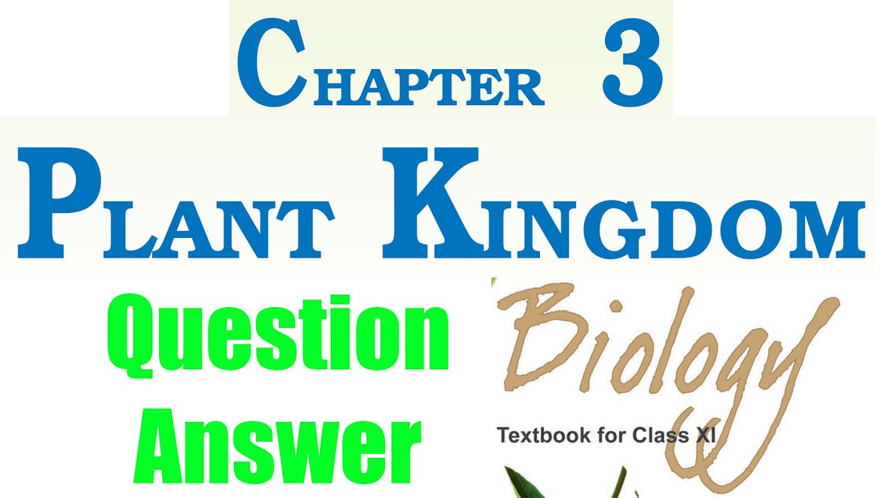 Chapter 3 - Plant Kingdom (Question Answer) | Class 11 NCERT Biology ...