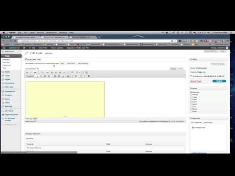 SEO Friendly URL's -Wordpress Permalink Structure