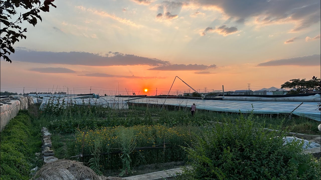 Countryside in the evening, comfortable life - YouTube